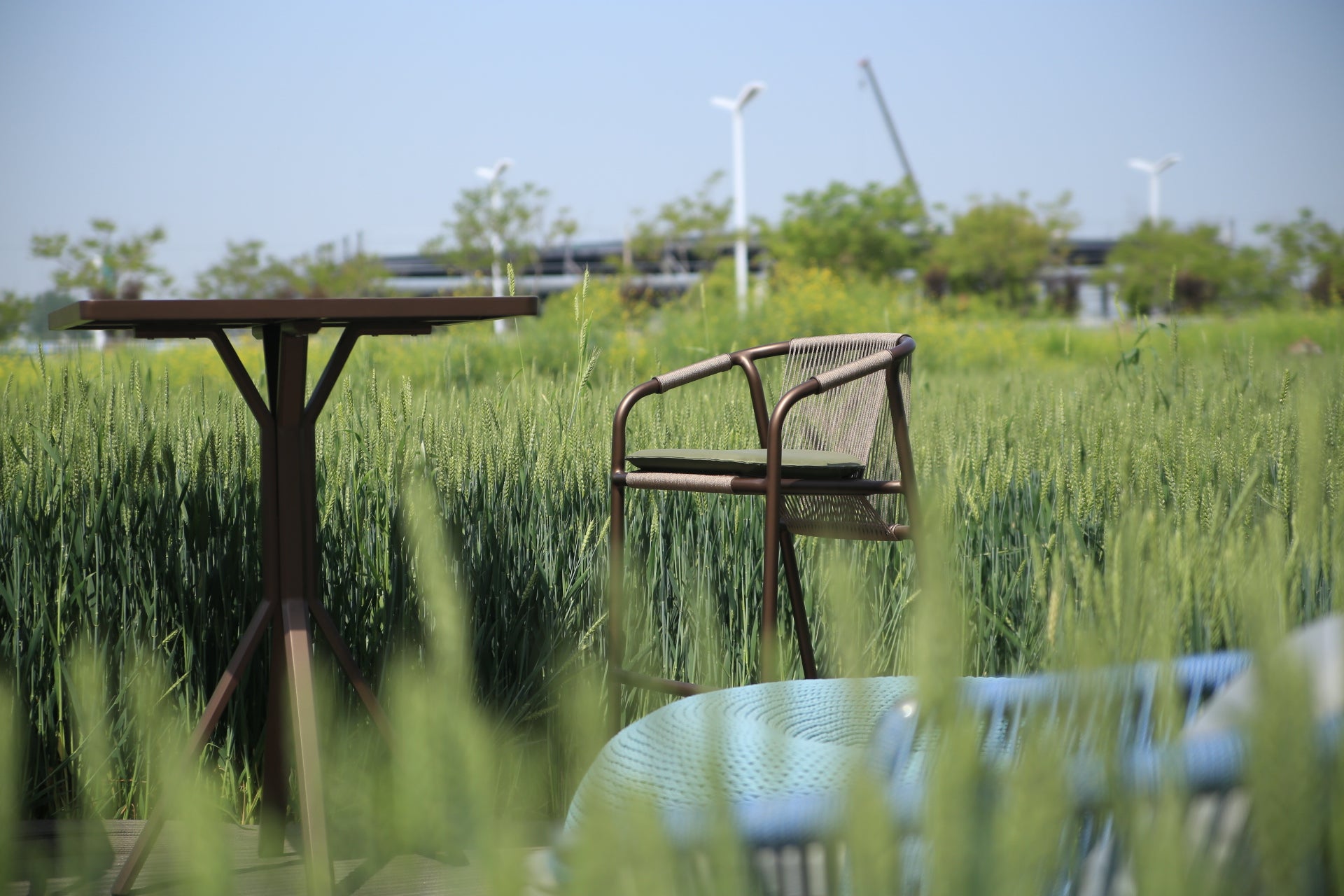 In the fields – WICKER-LINE